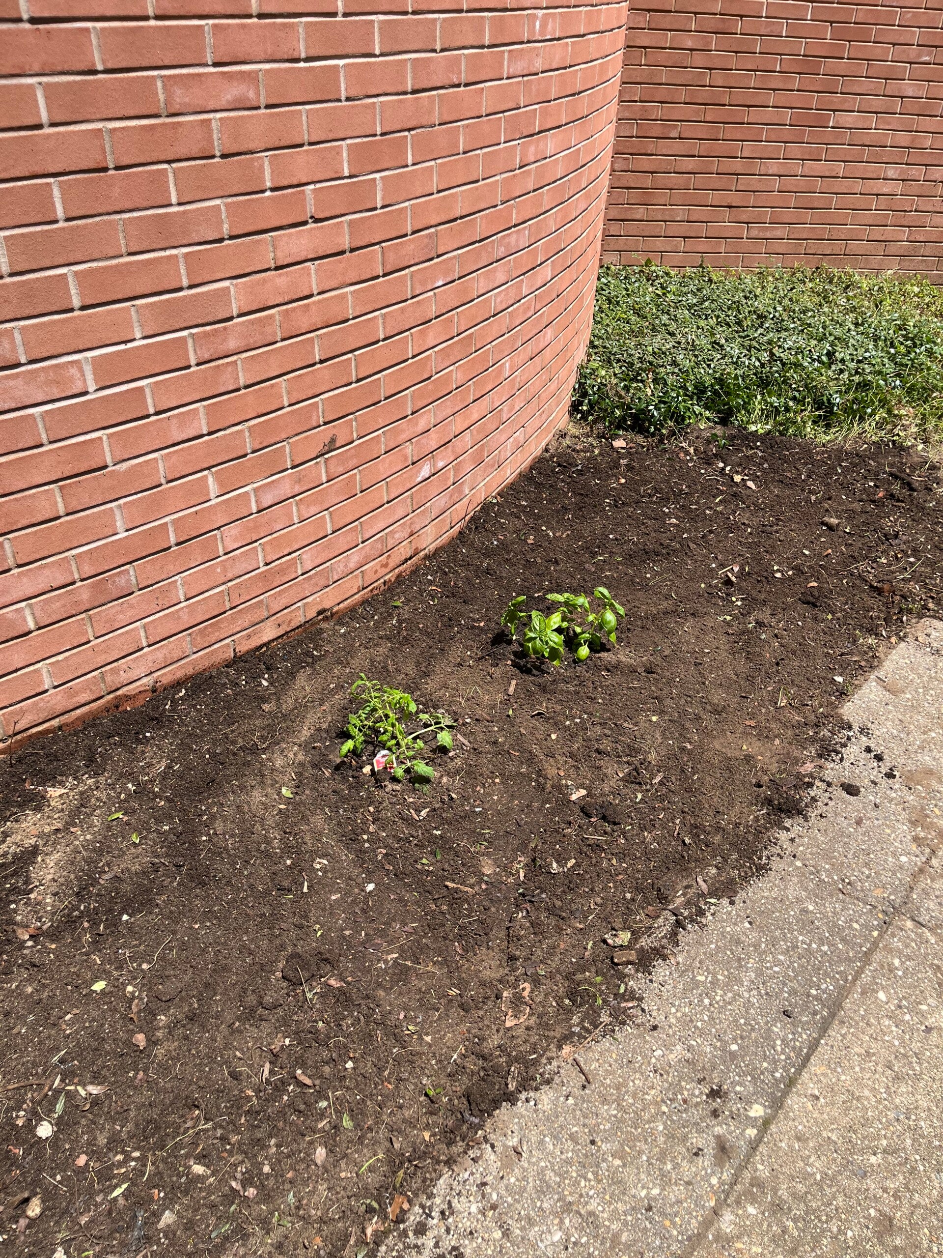 In the PTW Spotlight!!! | Positive Transitions to Work