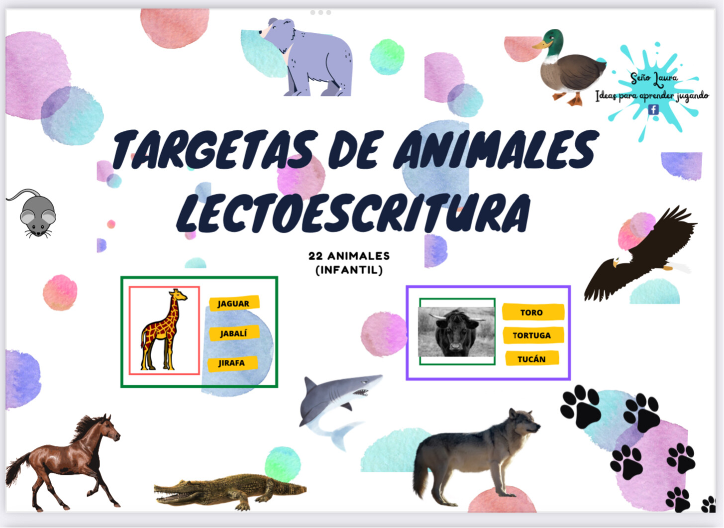 TARJETAS DE ANIMALES | Profecositas