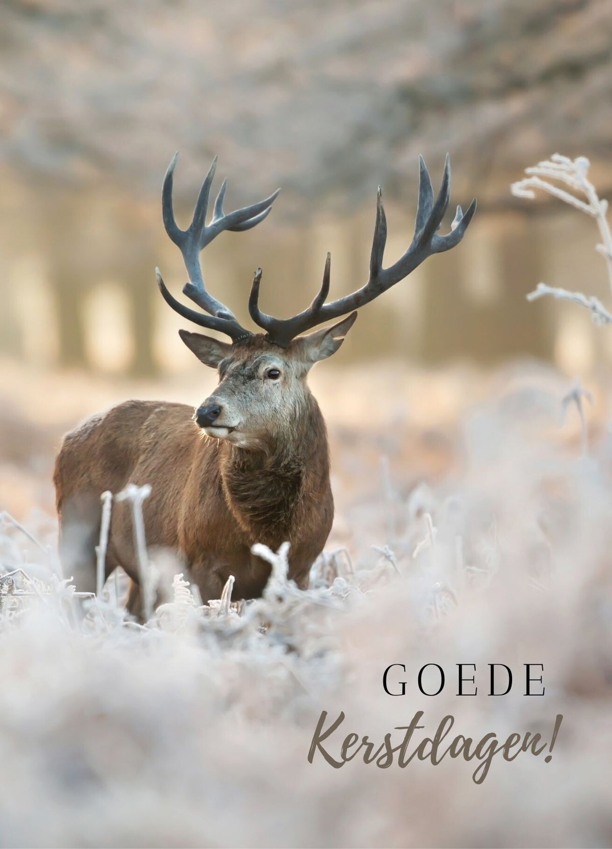 Kerst - hert | Goede kerstdagen | mooisvoorelkmoment.nl