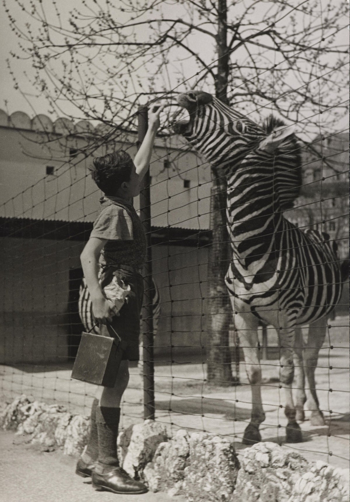 150 Jahre Zolli Basel