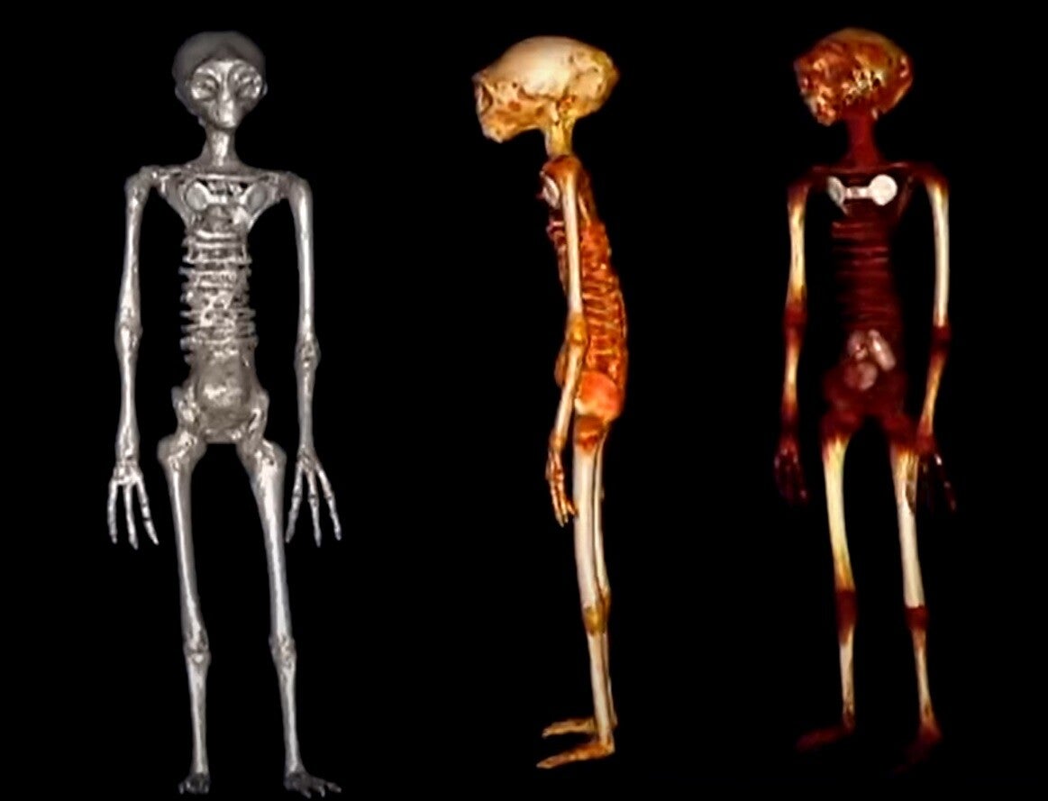 Peru's Mummy Aliens 4 feet tall | SOM1