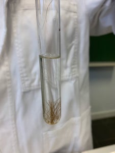 chemische eigenschappen | hydroxide