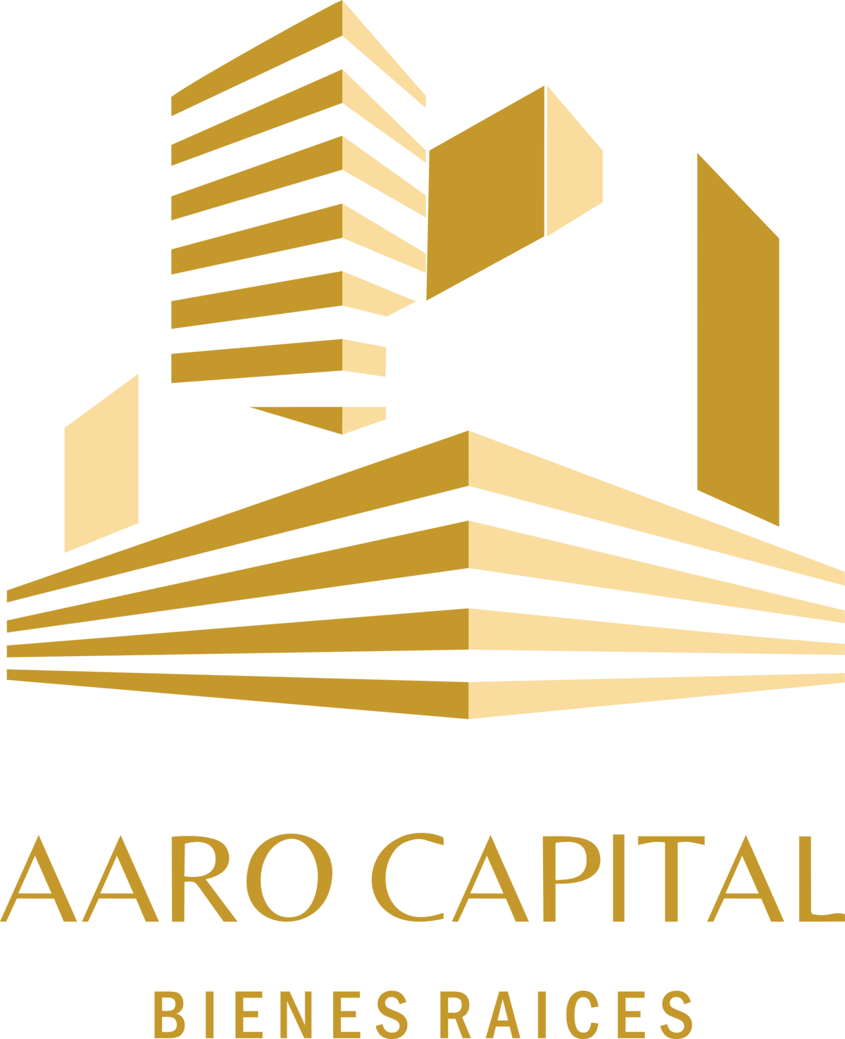 Aaro Capital Bienes Raices