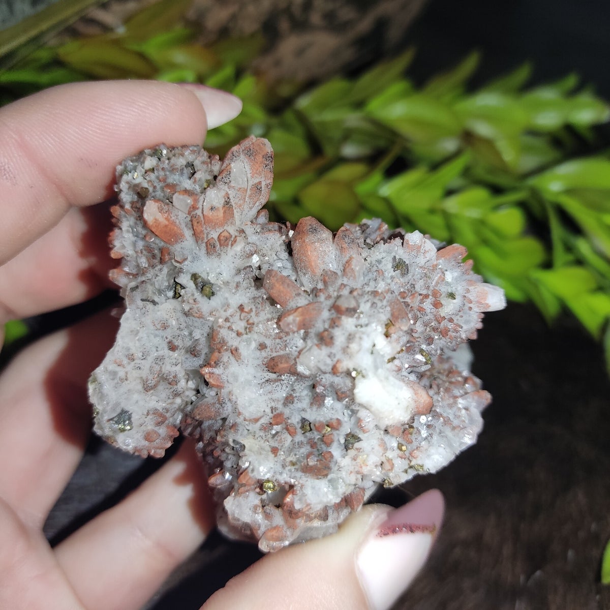Rode Kwarts met Pyriet cluster | Lamineralium