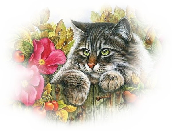 Poesen achtergronden / Poesen Tubes | Zonneschijn PSP Tubes