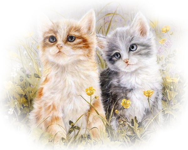 Poesen achtergronden / Poesen Tubes | Zonneschijn PSP Tubes