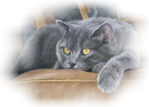 Poesen achtergronden / Poesen Tubes | Zonneschijn PSP Tubes