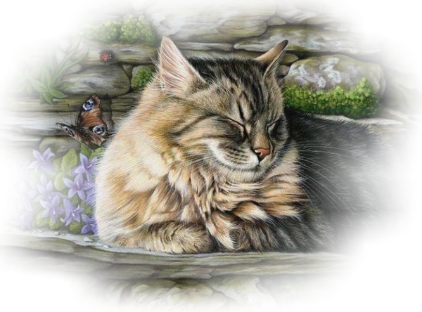 Poesen achtergronden / Poesen Tubes | Zonneschijn PSP Tubes