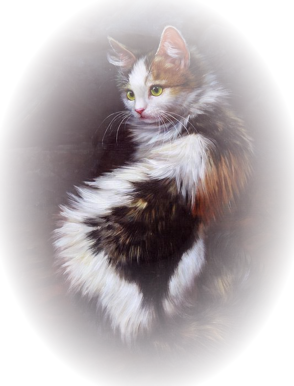 Poesen achtergronden / Poesen Tubes | Zonneschijn PSP Tubes