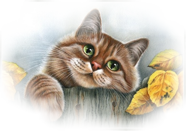 Poesen achtergronden / Poesen Tubes | Zonneschijn PSP Tubes