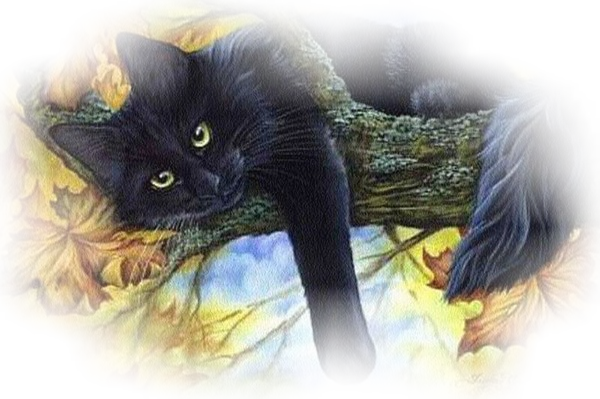 Poesen achtergronden / Poesen Tubes | Zonneschijn PSP Tubes