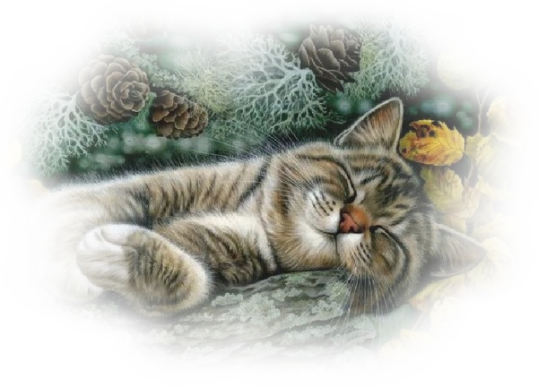 Poesen achtergronden / Poesen Tubes | Zonneschijn PSP Tubes