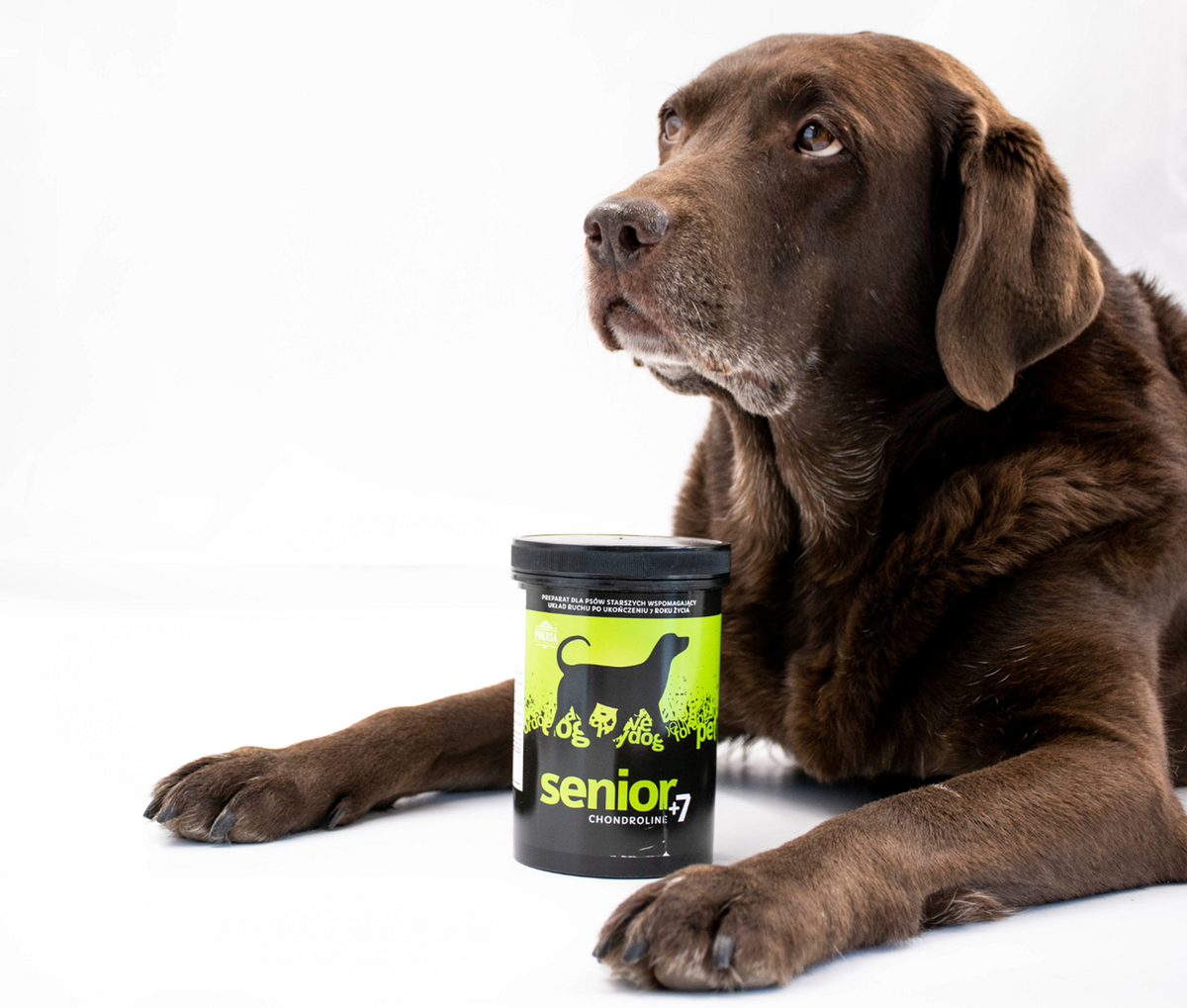 Pokusa Slovenija - Prehranska dopolnila za male živali in konje | BULL ...