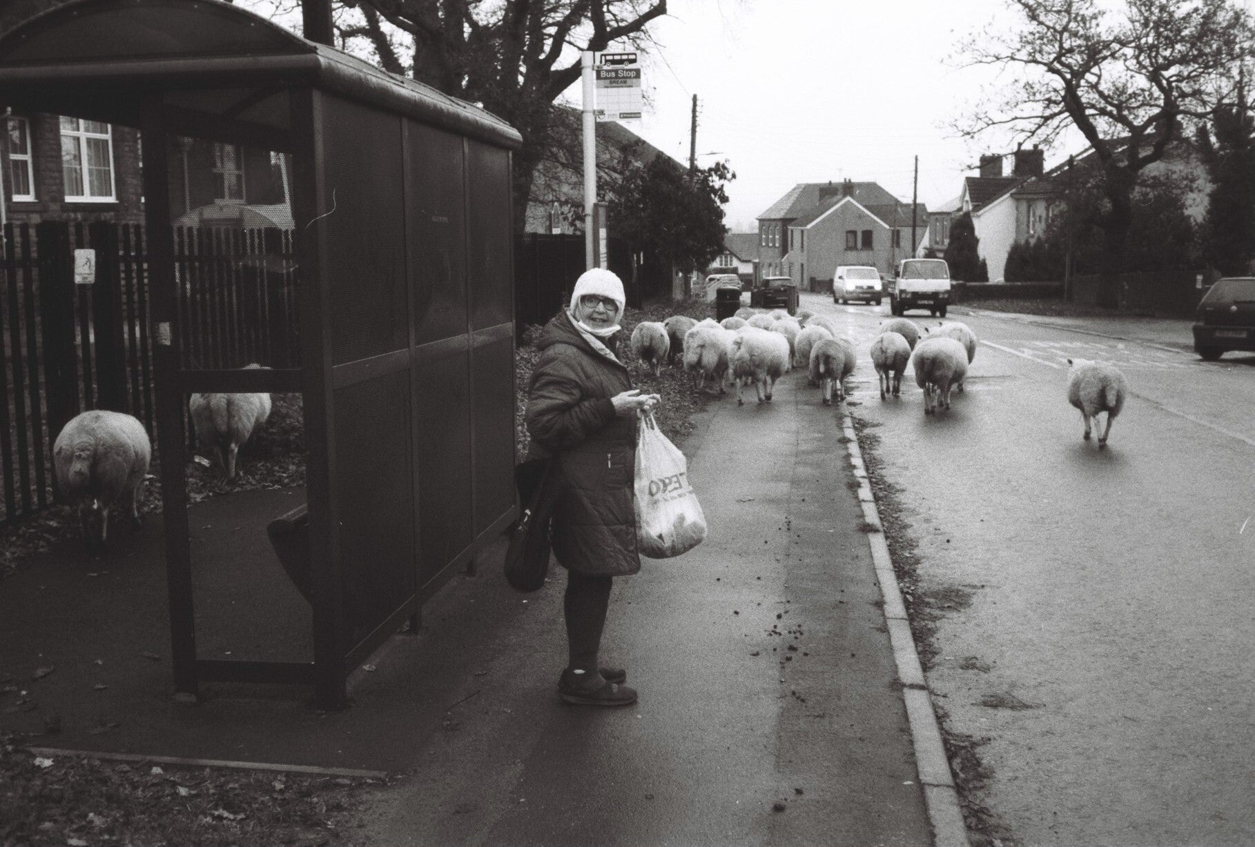 David Cross | Centre for British Documentary Photography