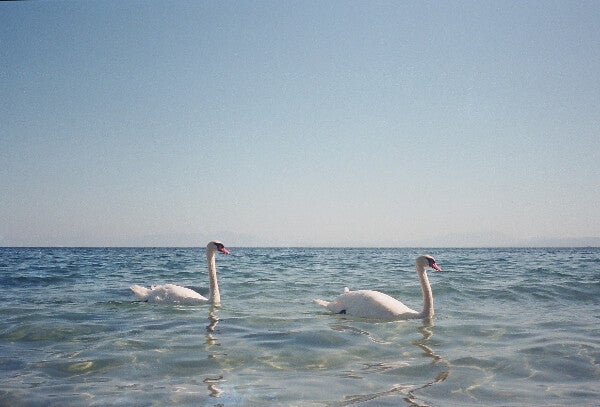 Daniel Brady | Centre for British Documentary Photography.