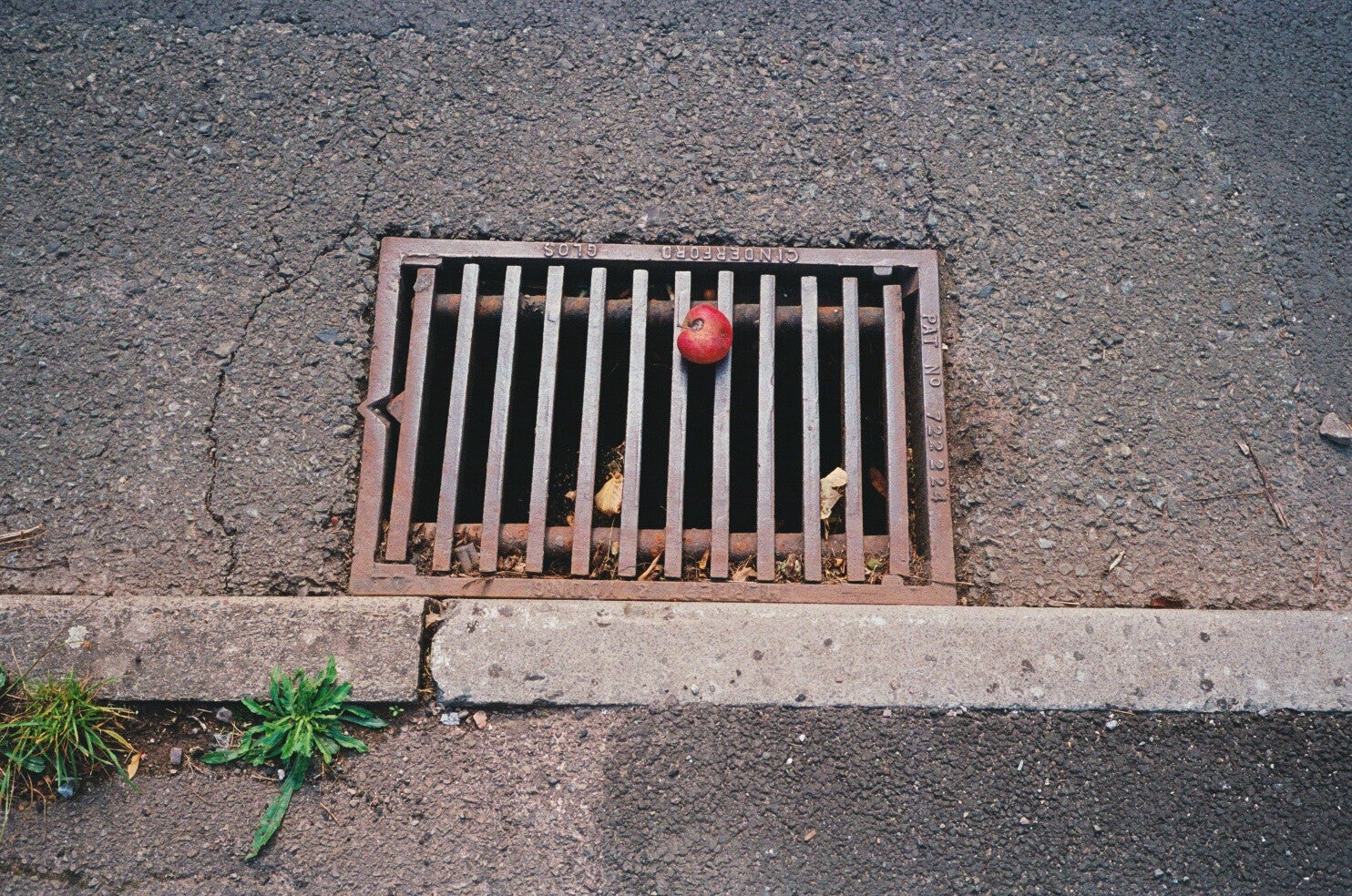 David Cross | Centre for British Documentary Photography