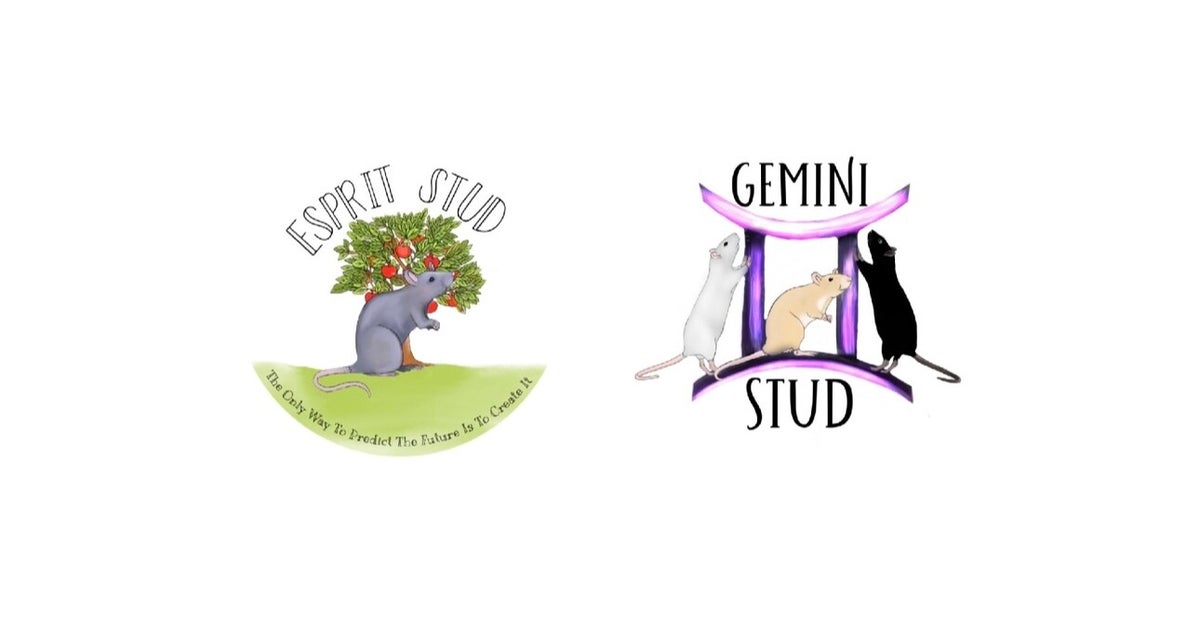 Application Form | Esprit Stud