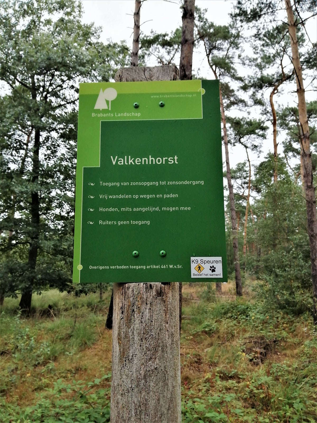 Valkenhorst-tocht, Leende / Brabant | Wandelingen met Willem