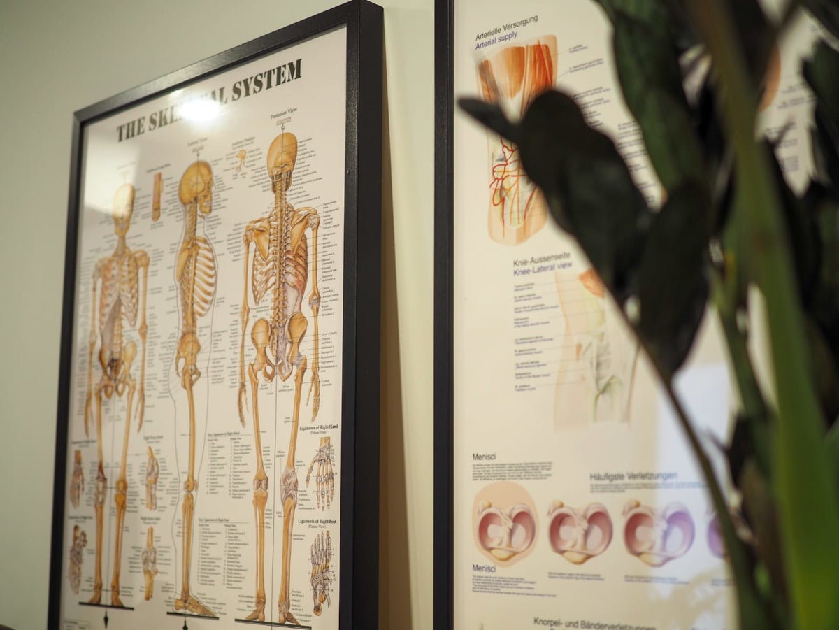 Botontkalking (osteoporose) / Extra informatie | Fysio Fit & Rehab