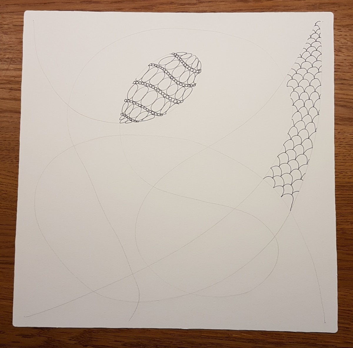 Zentangle Opus Tile | Letstangle