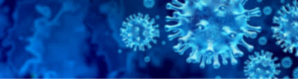 Bearcross Dental Practice