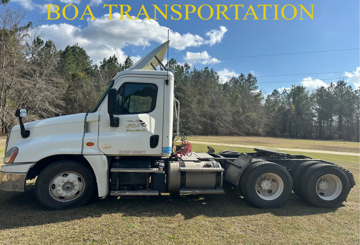 Boa transportation