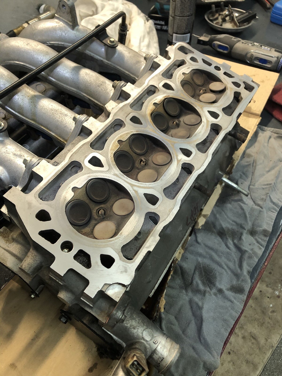 Diagnose / Producten en diensten | Octagon Car Care