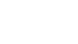 Store | Happy Dim Sum
