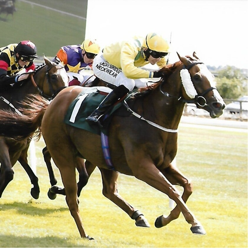 Noel wilson racing syndicate | Noel wilson racing