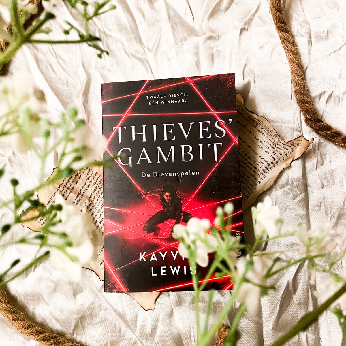 Thieves Gambit: de Dievenspelen - Kayvion Lewis / Recensies | thereadingtwinsnl