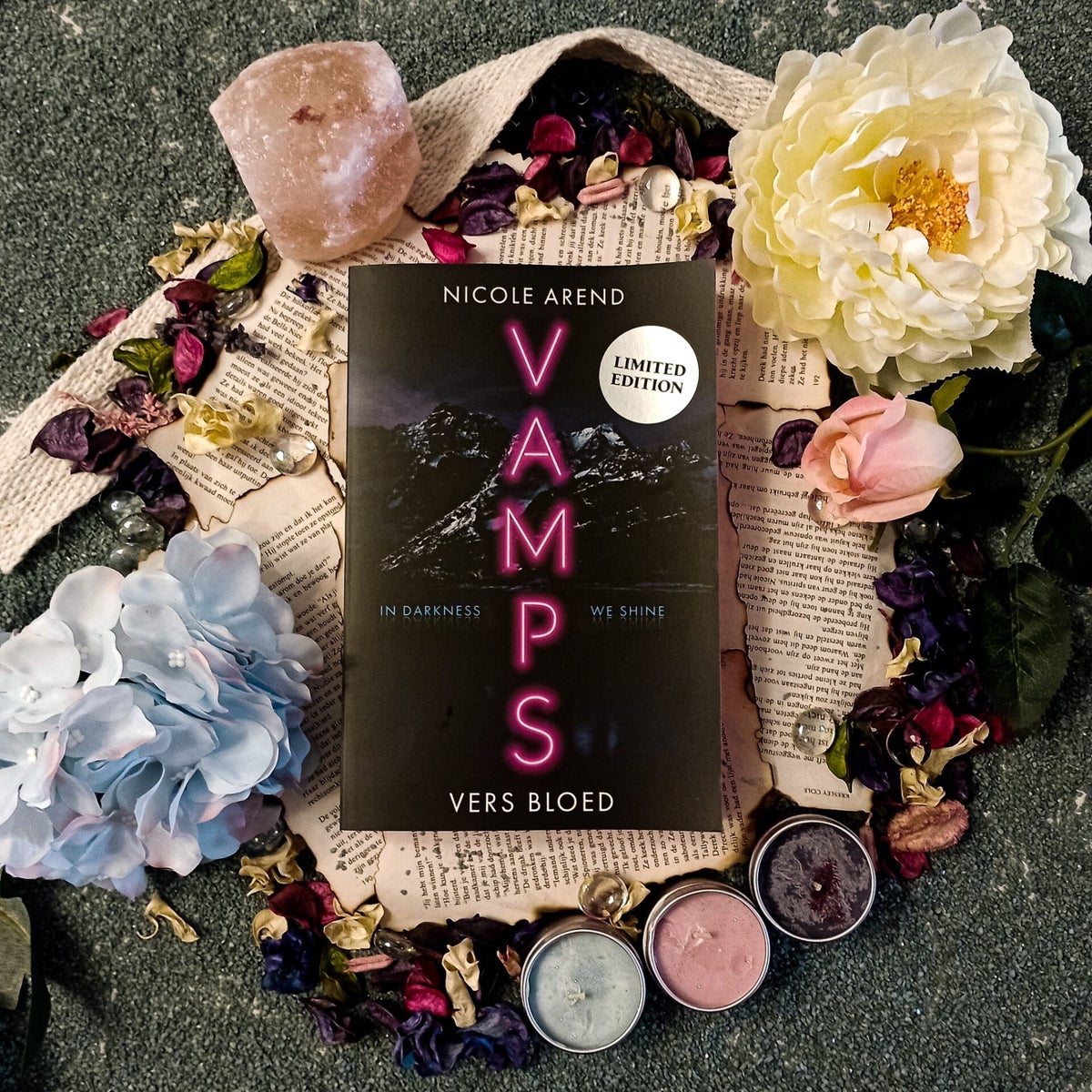 Vamps: Vers Bloed - Nicole Arend / Recensies | thereadingtwinsnl