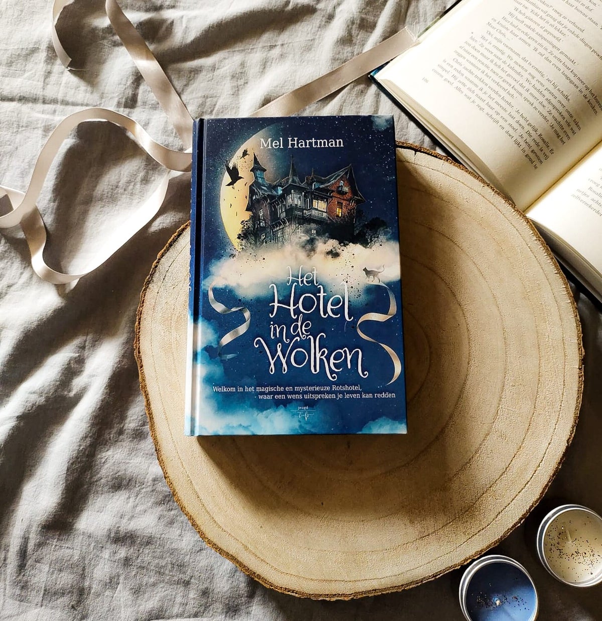 Hotel in de Wolken - Mel Hartman / Recensies Jeugd & Kinderboeken ...