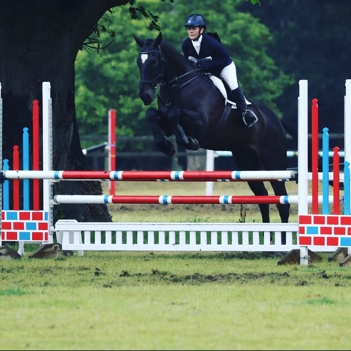 Whitehill Livery and Lucy Ward Eventing