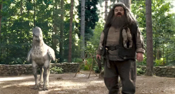 Hagrid / Achtergrondverhalen | Harry Potter