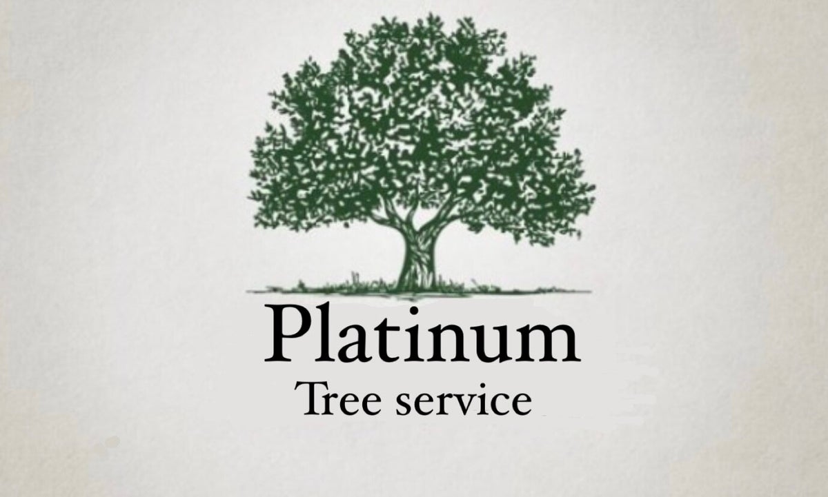 platinumtreeservice