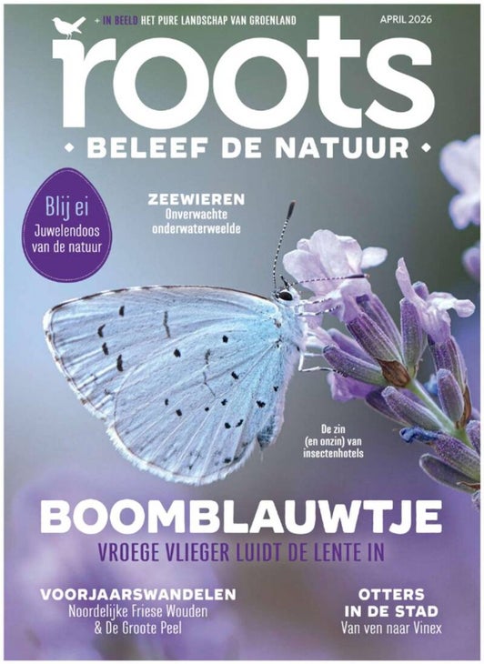 Tip van Tonja van de bib | Beeldig Nieuws