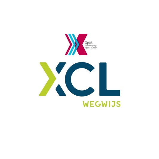 XCL Wegwijs uit Lommel wordt inspiratieschool voor Vlaanderen | Beeldig ...