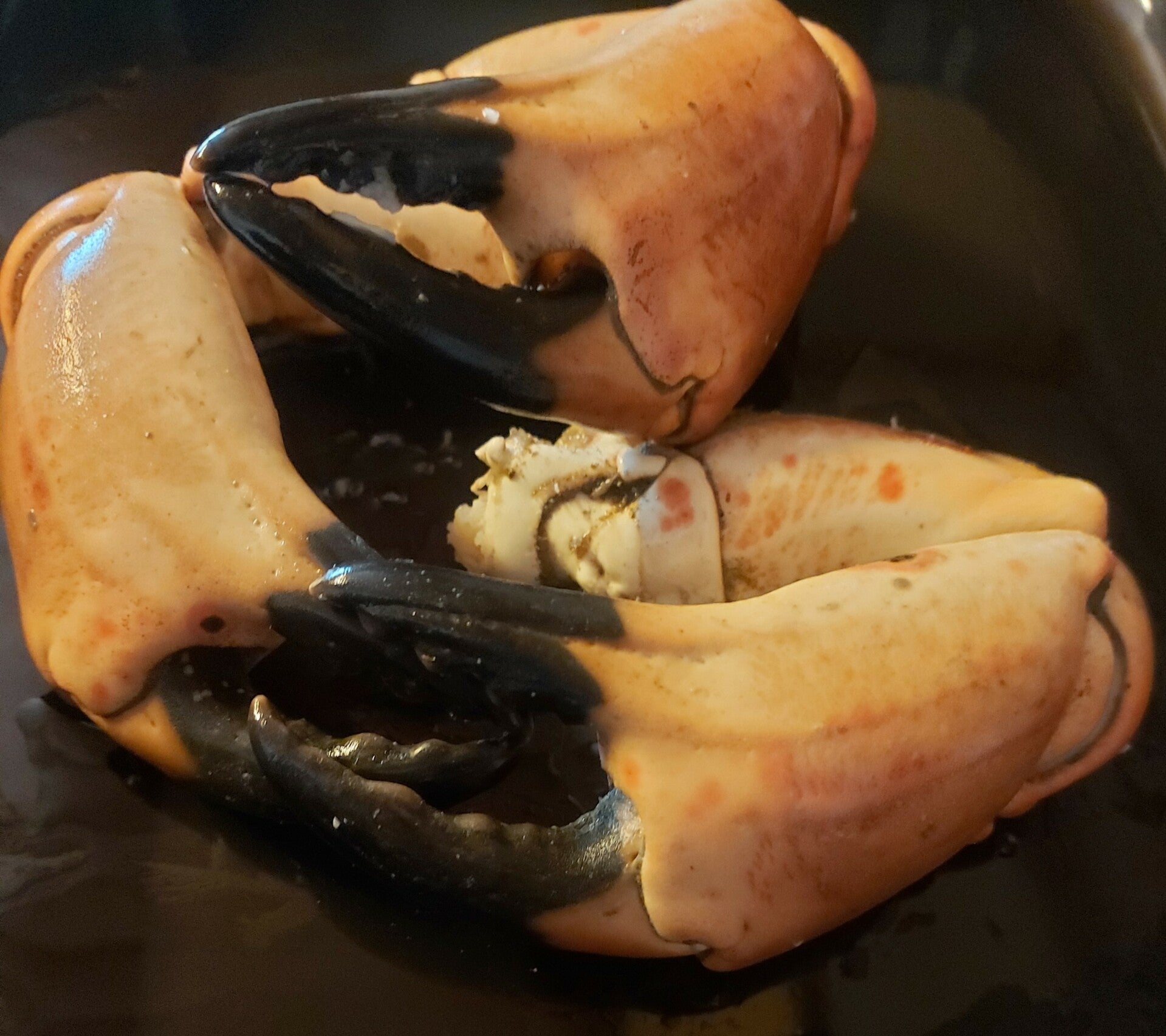 Taskekrabbe klør kogt | ThyGourmet