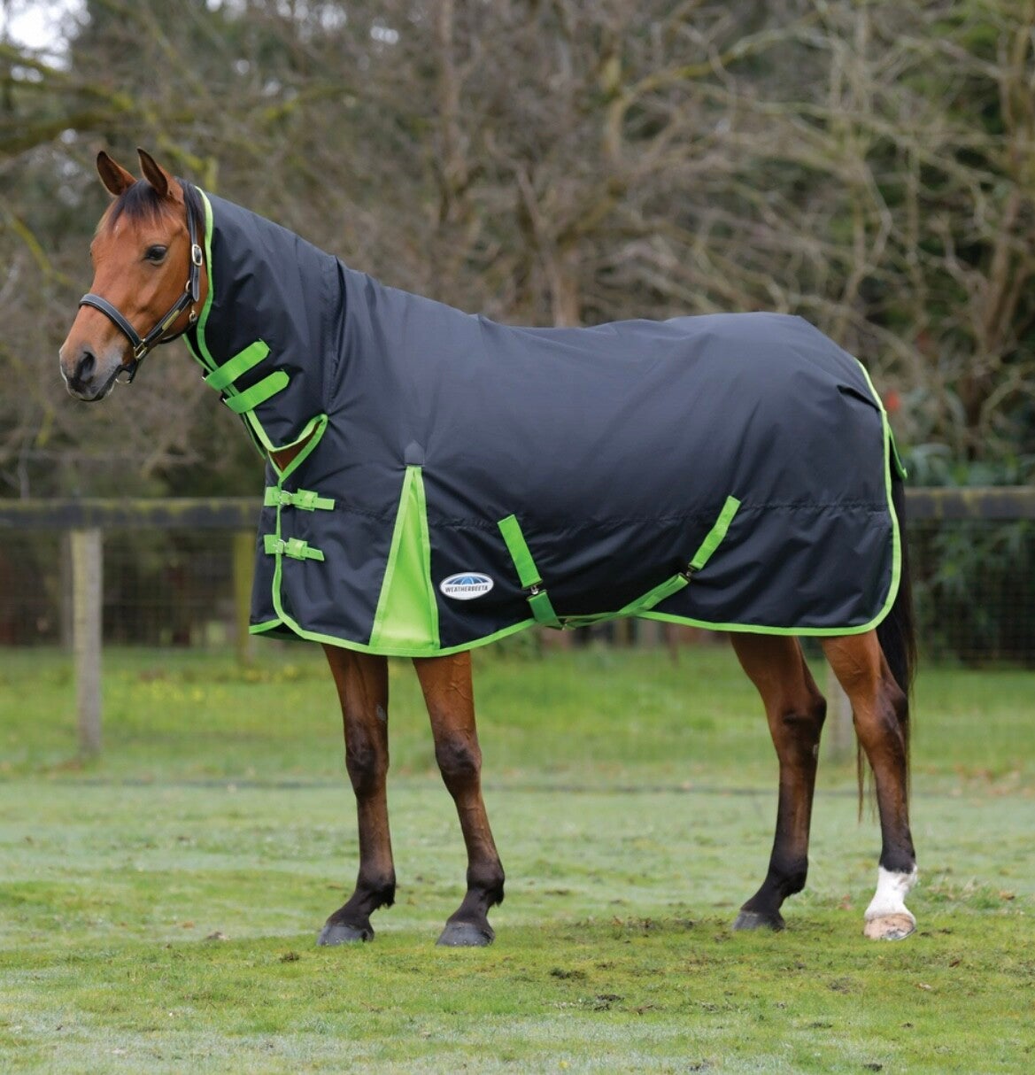 Brand New Rugs/Exercise Sheets/Hoods | Bit on the Side - Tack Sales
