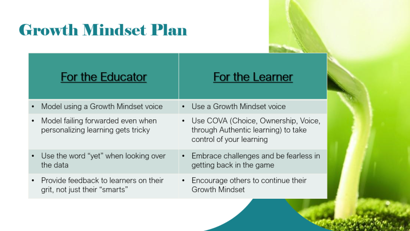 Growth Mindset / Projects/Learning | MStroutDDLJourney