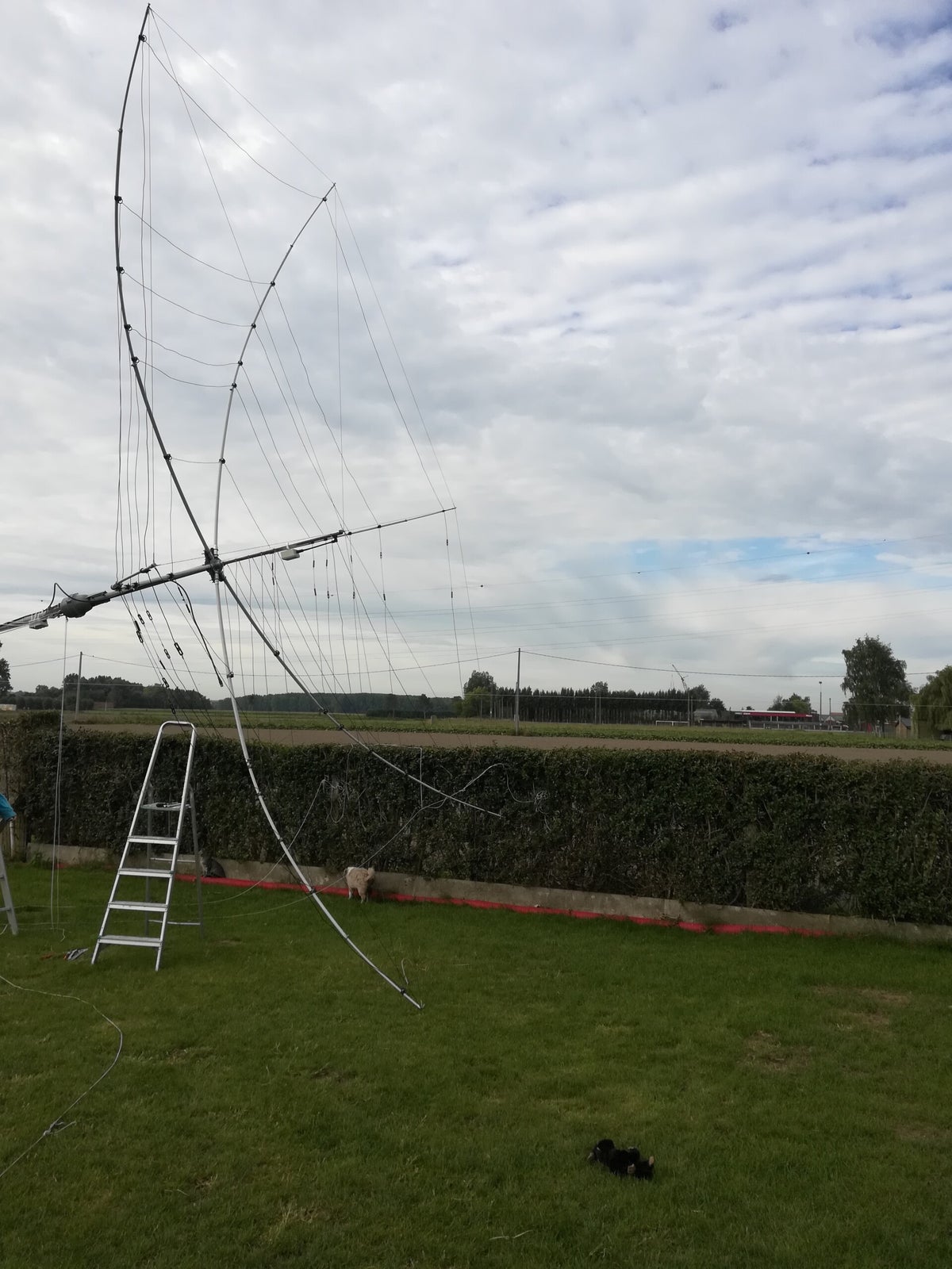 Hexbeam / HF TX antennas | ON7MV