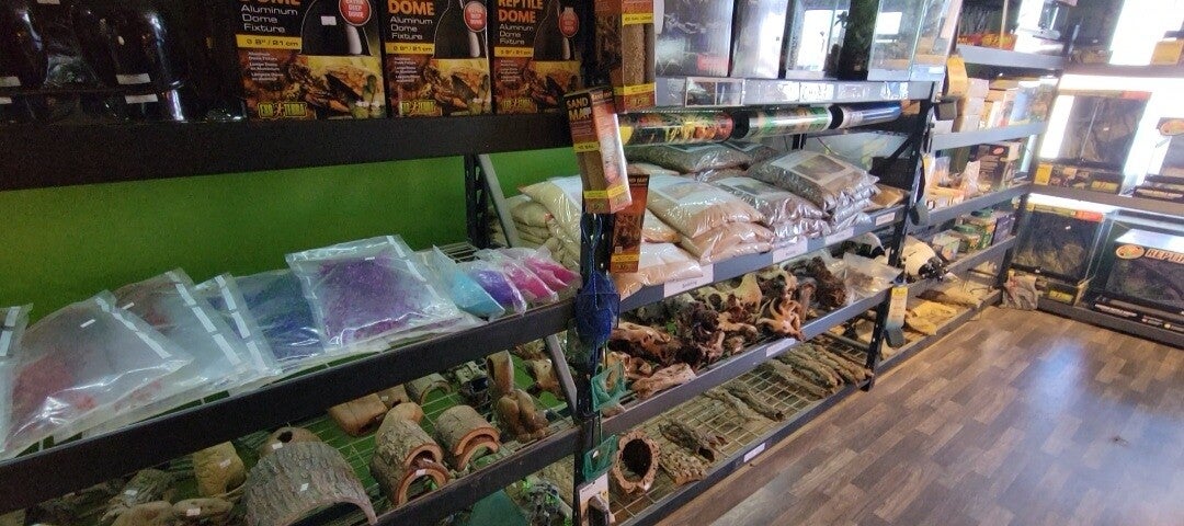 Our Store | Kernersville Reptile Zoo & Pet Store