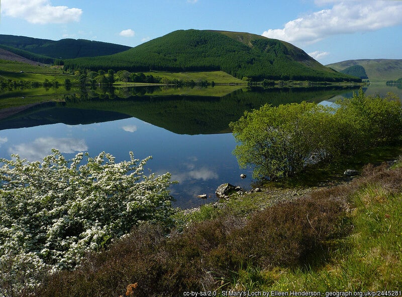 St Mary's Loch