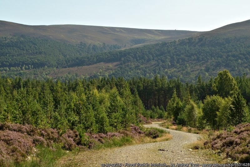 Invereshie and Inshriach National Nature Reserve