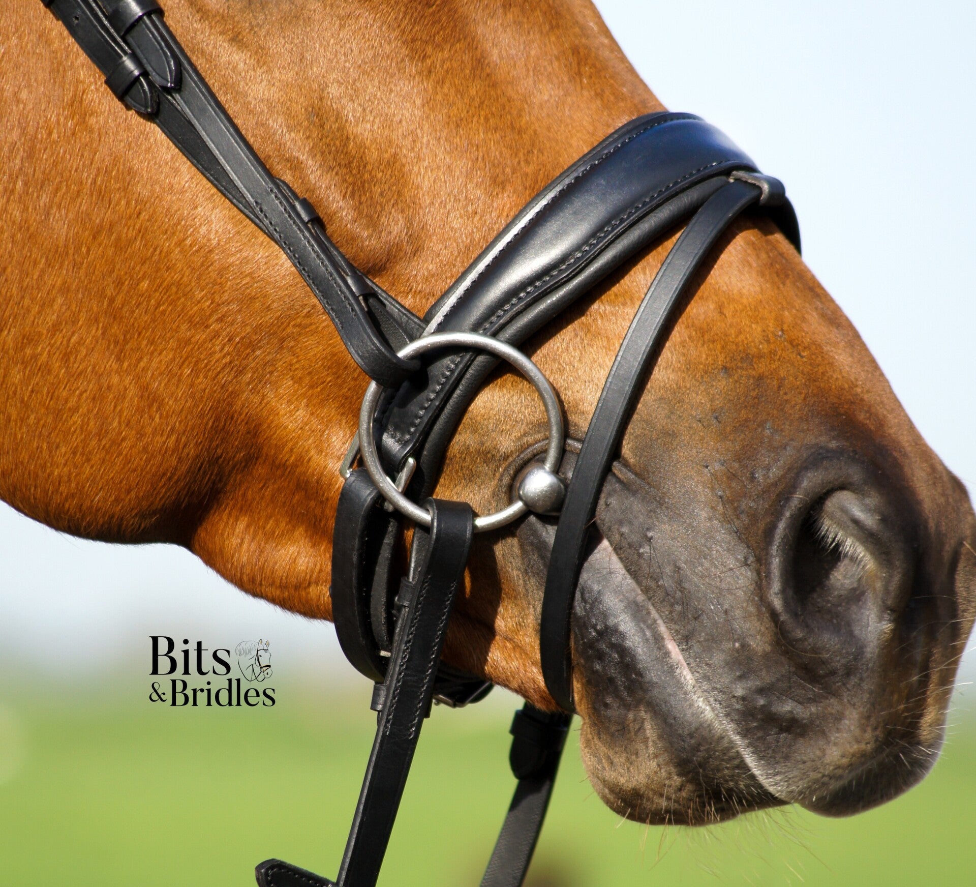 Bits&Bridles - Hoofdstellen, bitten en toebehoren.
