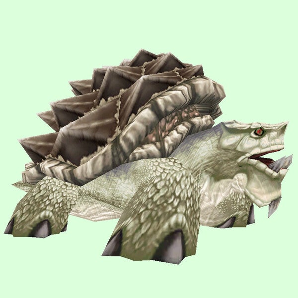 White Turtle / Turtle / Tenacity / Pet Families / Find Pets | The ...