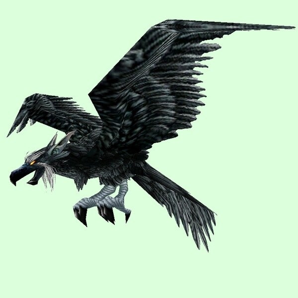 Black Crow / Carrion Bird / Ferocity / Pet Families / Find Pets | The ...