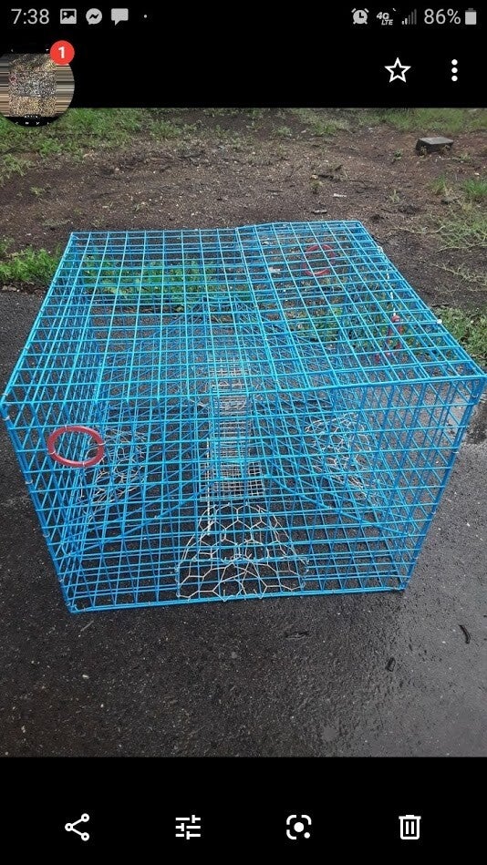 products | Paddy Pots LLC