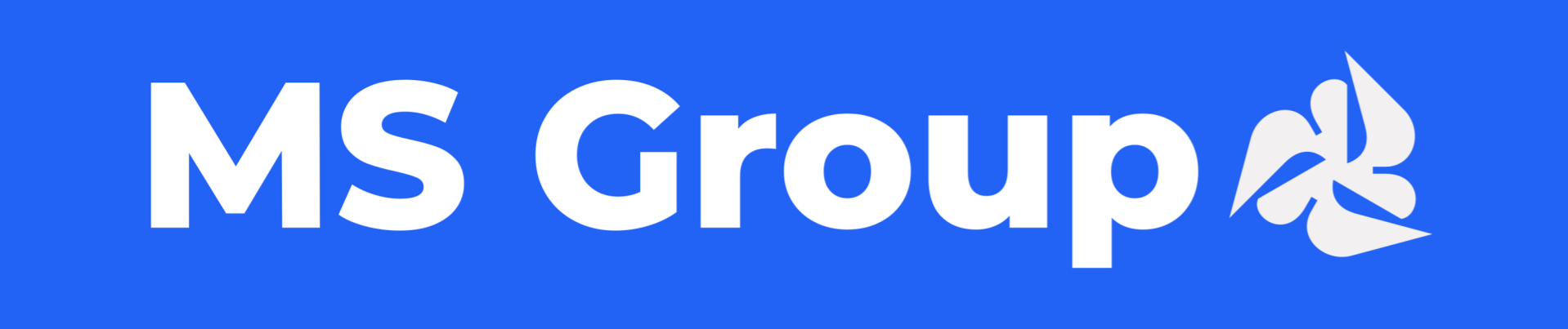 MS GROUP