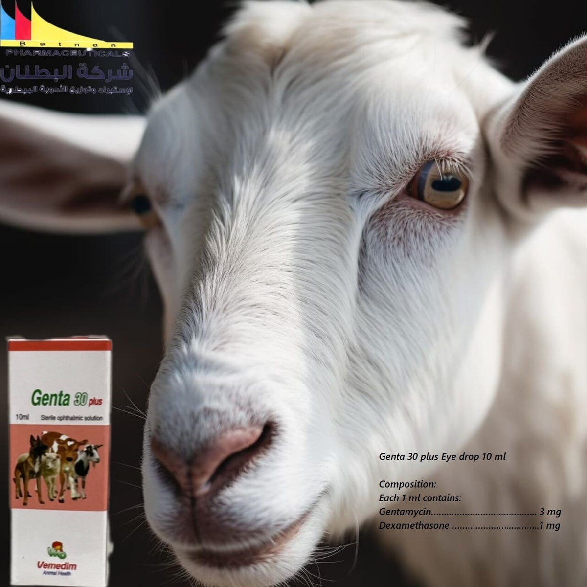 Genta 30 plus | Batnanpharma